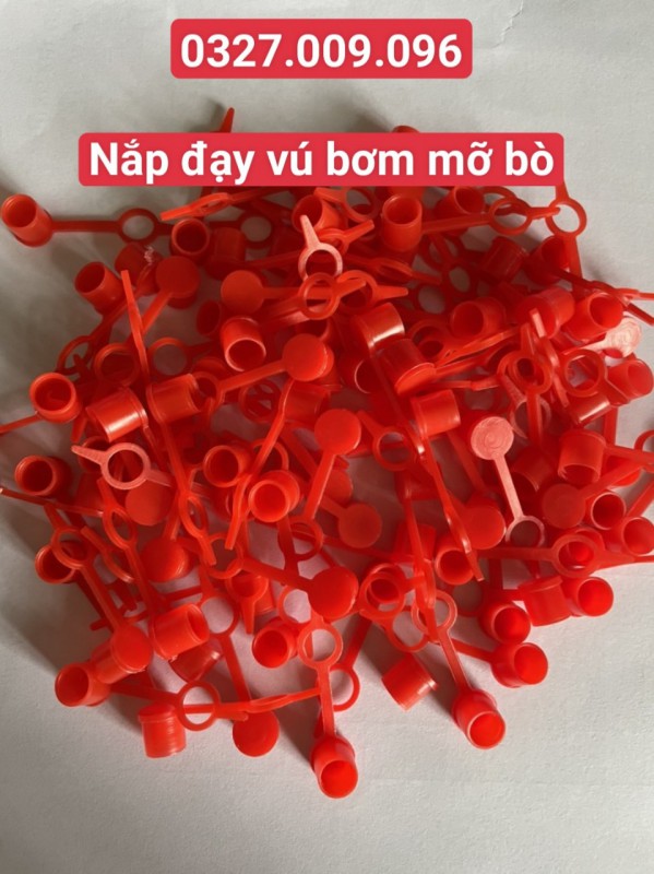 nắp chụp vú bơm mỡ bò